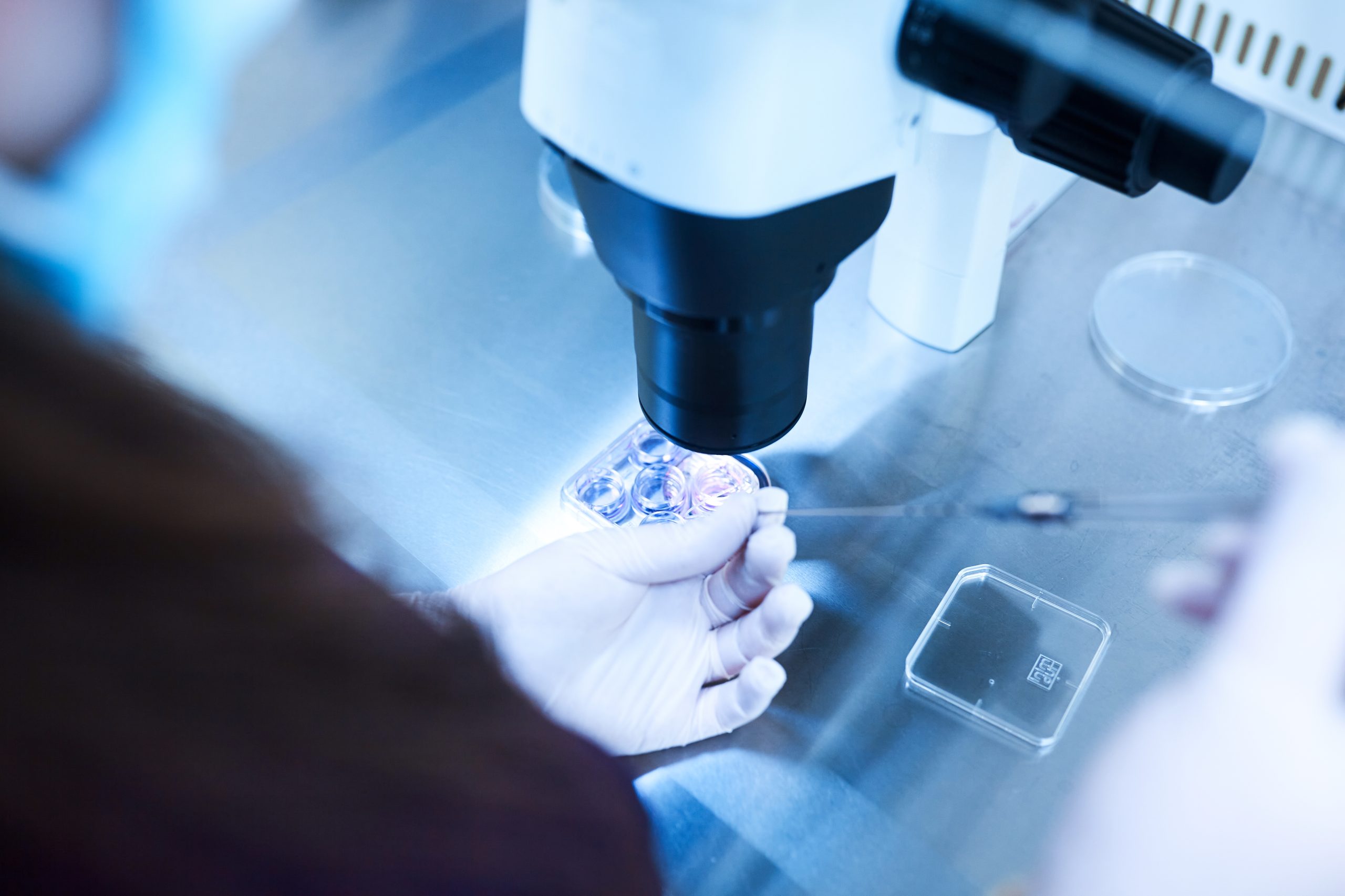Embryo Transfer - vitromed